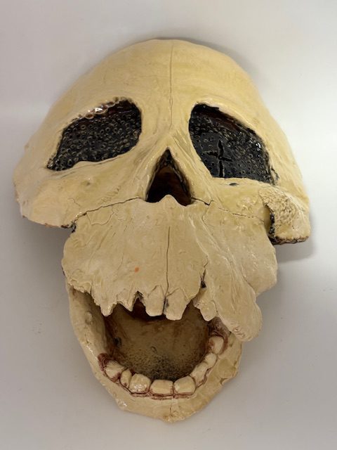 Celebrating student 3D artists: Natalie Adair and Ella Cooper - Scotia ...