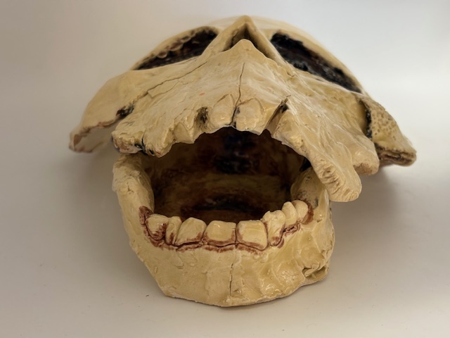 Celebrating student 3D artists: Natalie Adair and Ella Cooper - Scotia ...